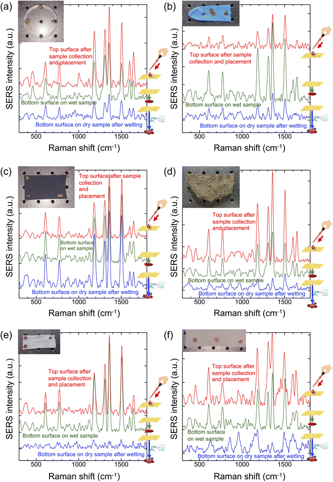 Place & Play SERS: sample collection and preparation-free surface ...