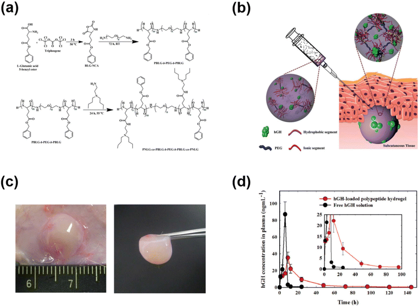 Recent strategies to develop pH-sensitive injectable hydrogels ...