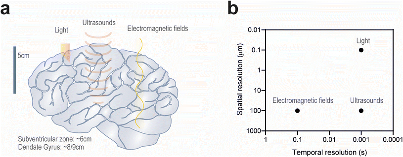Engineering optical tools for remotely controlled brain stimulation and ...