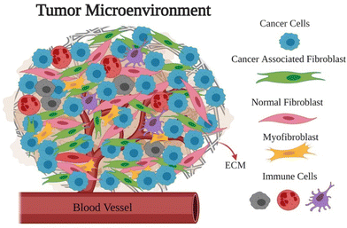 3D bioprinting complex models of cancer - Biomaterials Science (RSC ...