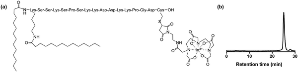 An indium-111-labelled membrane-targeted peptide for cell tracking with ...
