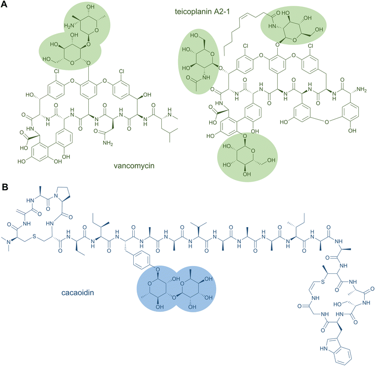 Emulating nonribosomal peptides with ribosomal biosynthetic strategies ...