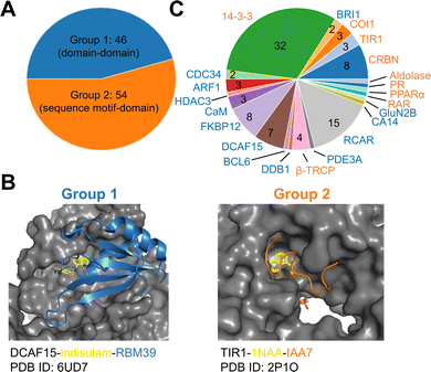 Protein–protein interfaces in molecular glue-induced ternary complexes ...