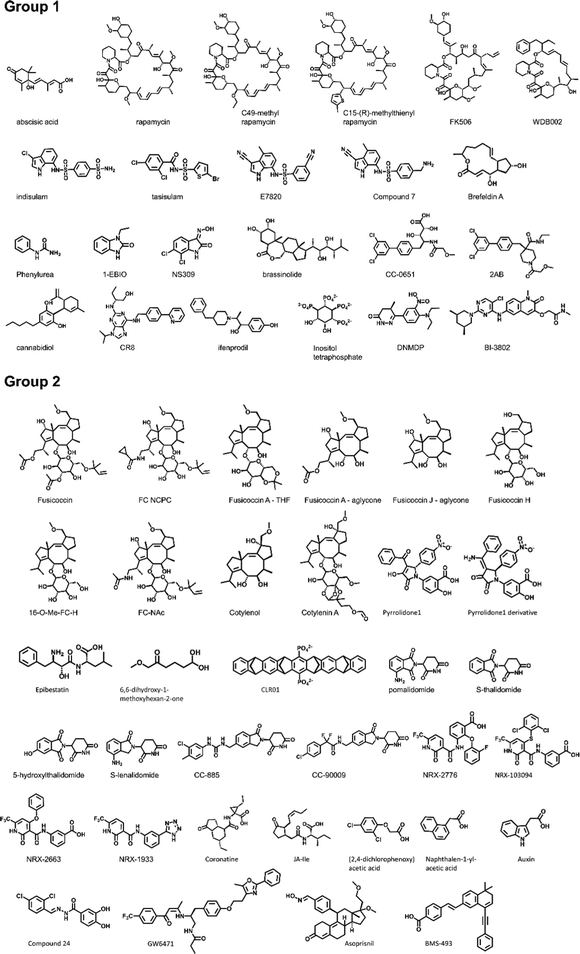 Protein–protein interfaces in molecular glue-induced ternary complexes ...