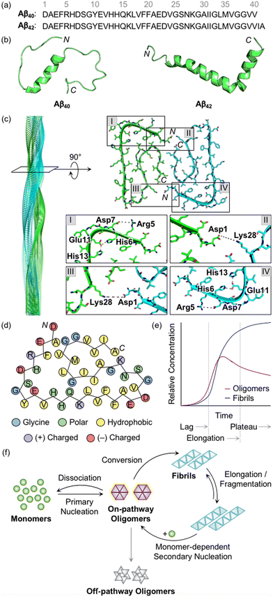 Current understanding of metal-dependent amyloid-β aggregation and ...
