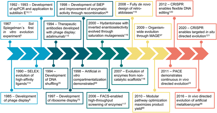 A primer to directed evolution: current methodologies and future ...