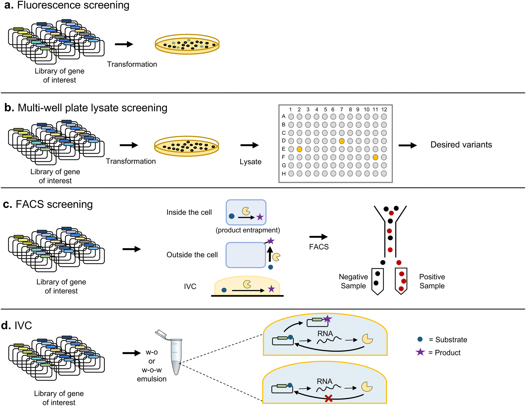 A primer to directed evolution: current methodologies and future ...