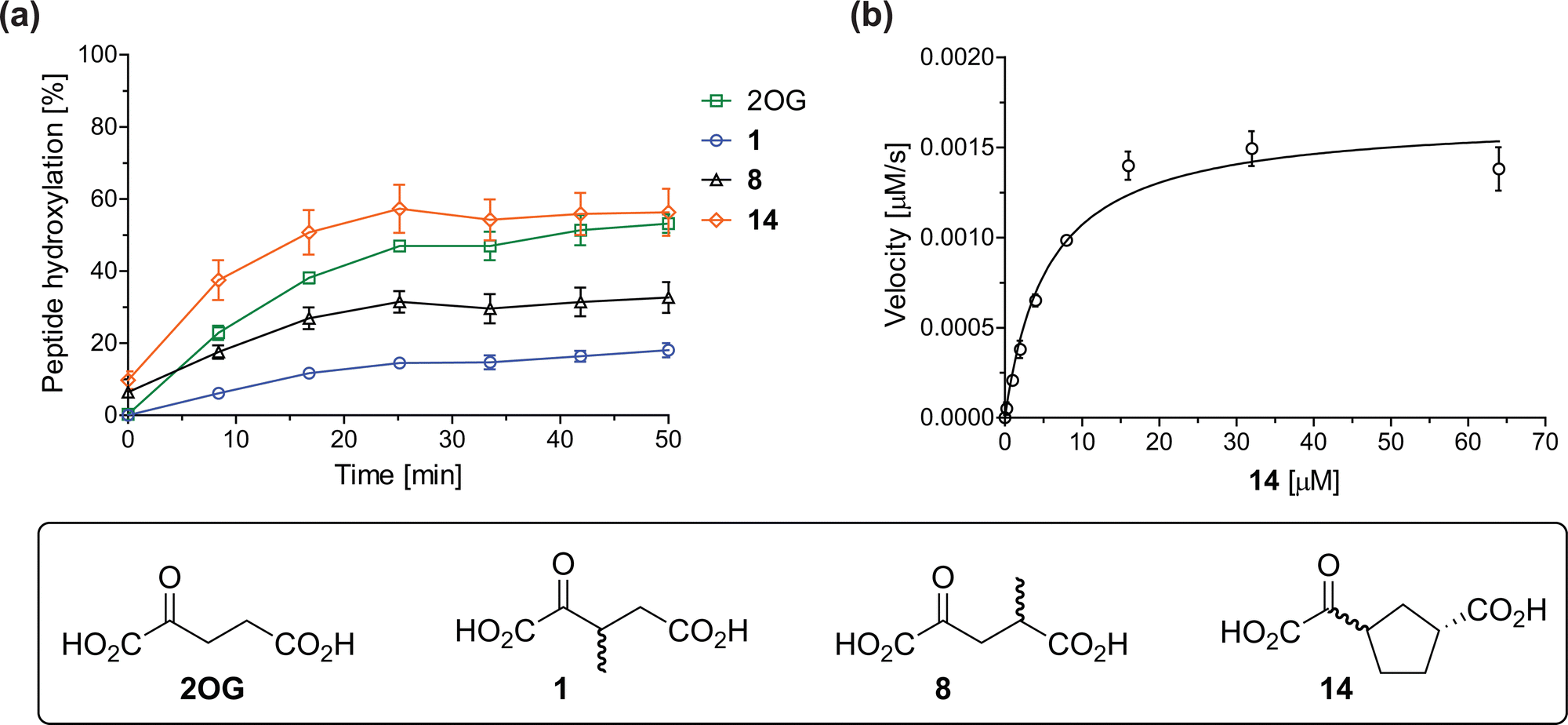 Kinetic and inhibition studies on human Jumonji-C (JmjC) domain ...