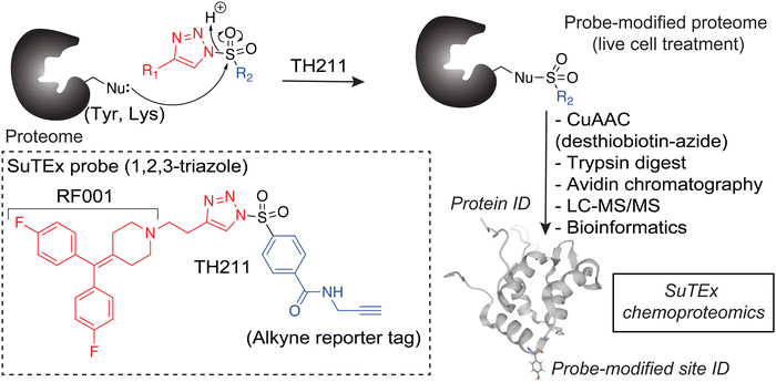Predicting small molecule binding pockets on diacylglycerol kinases ...