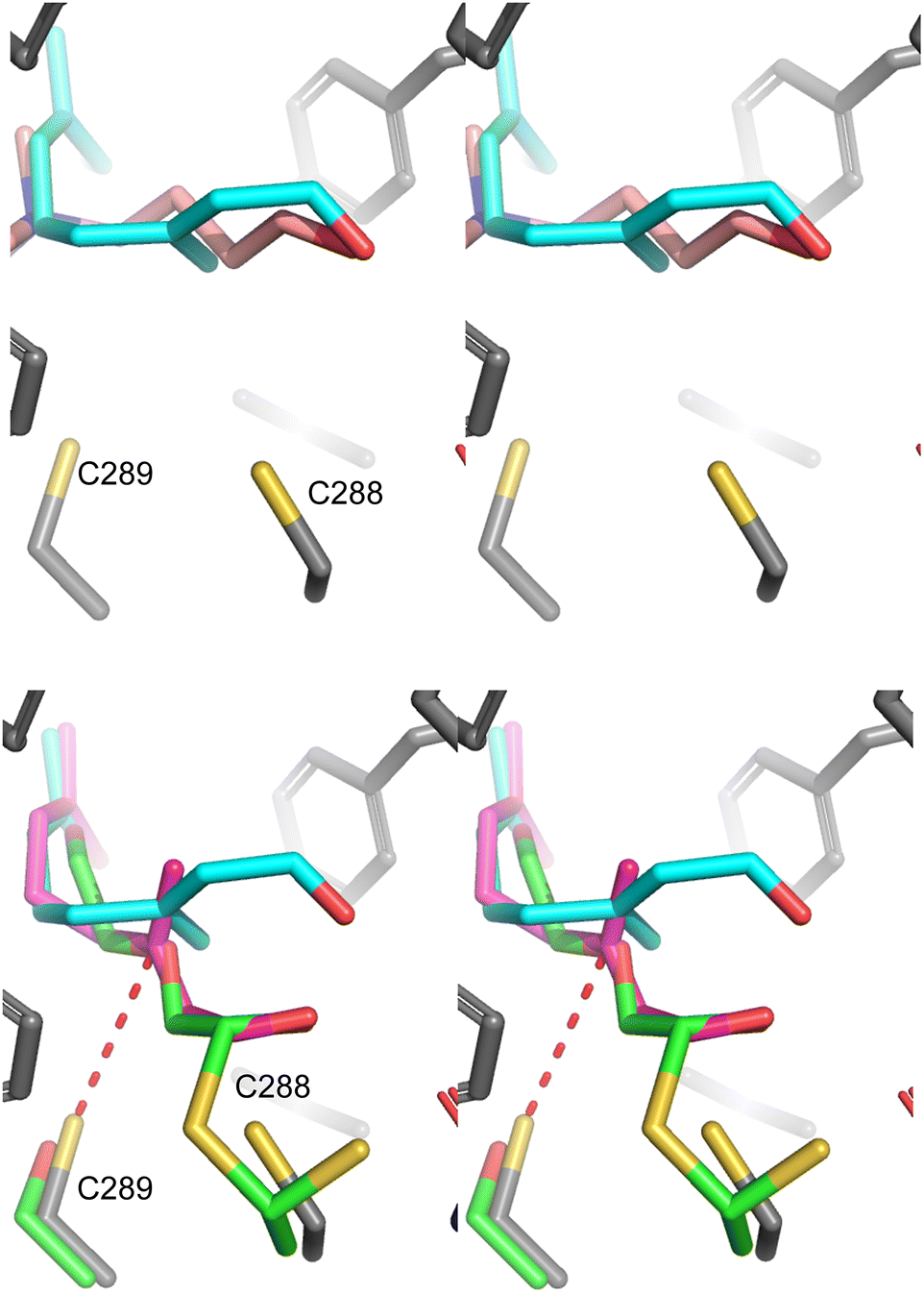 Thinking outside the CaaX-box: an unusual reversible prenylation on ...