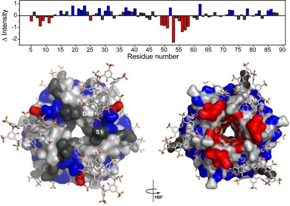 Solid-state NMR – a complementary technique for protein framework characterization - Chemical ...
