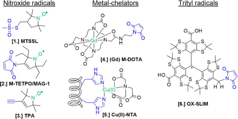 Dance with spins: site-directed spin labeling coupled to electron ...