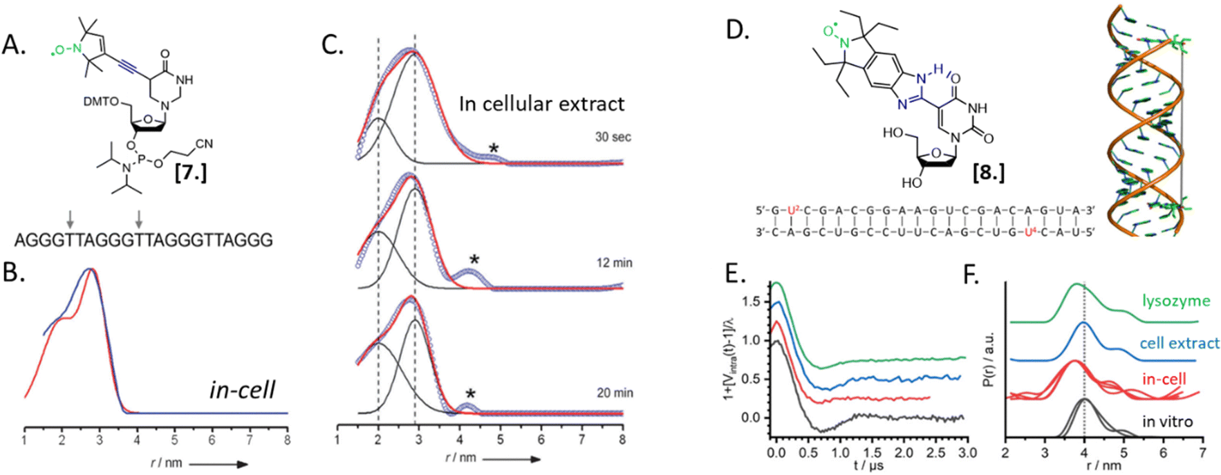 Dance with spins: site-directed spin labeling coupled to electron ...