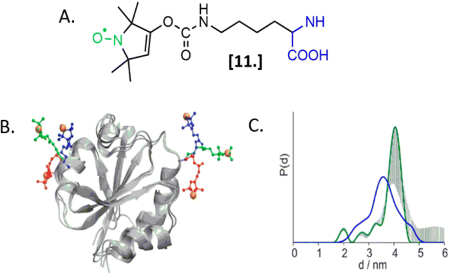 Dance with spins: site-directed spin labeling coupled to electron ...