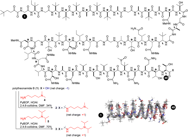 C-Terminal modification of polytheonamide B uncouples its dual ...