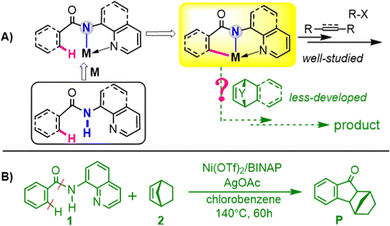 Overlooked potential of N , N -bidentate directing-groups in Ni ...