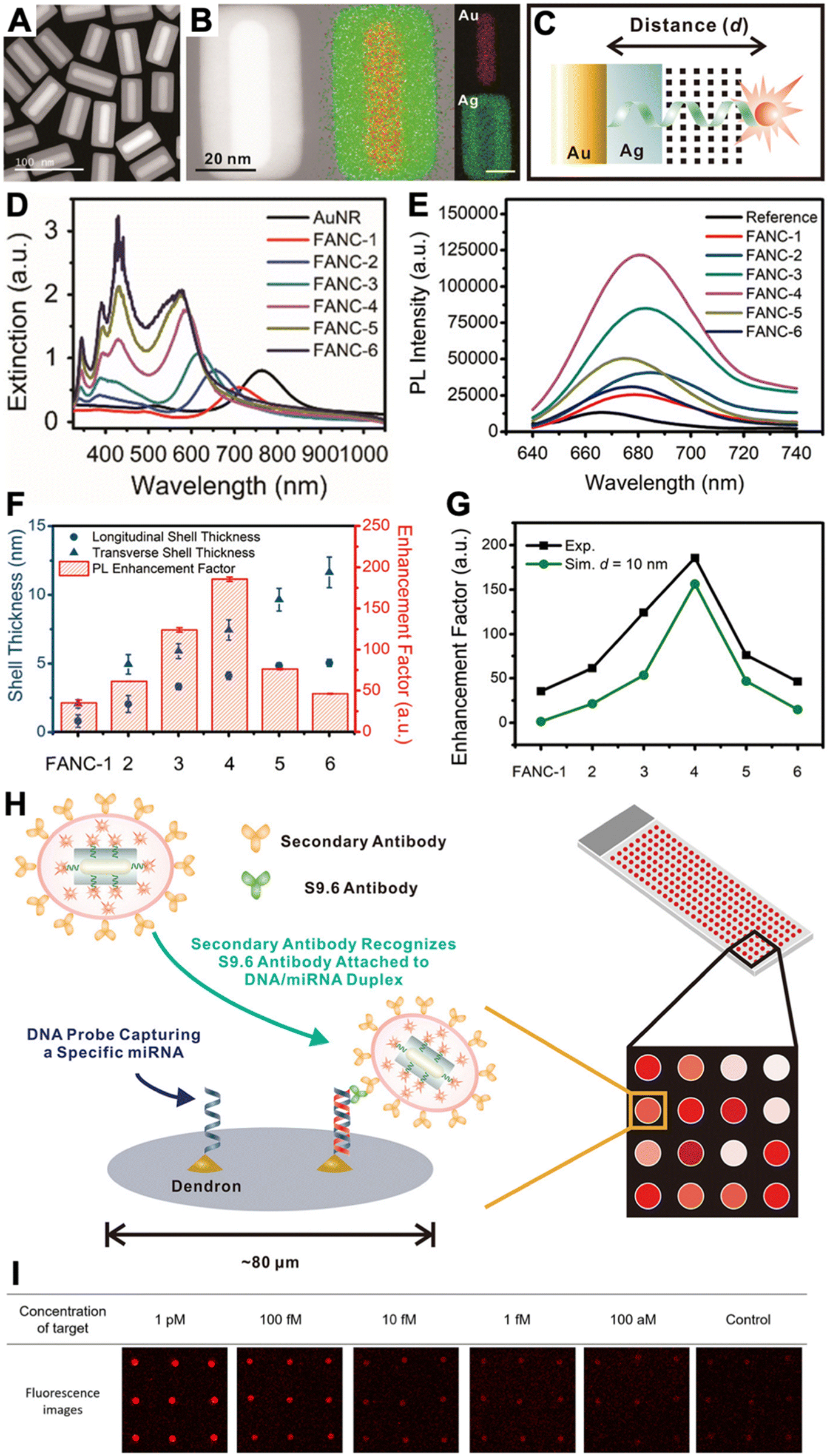 Plasmonic quenching and enhancement: metal–quantum dot nanohybrids for fluorescence biosensing ...