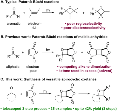 Synthesis of functionalized spirocyclic oxetanes through Paternò–Büchi ...