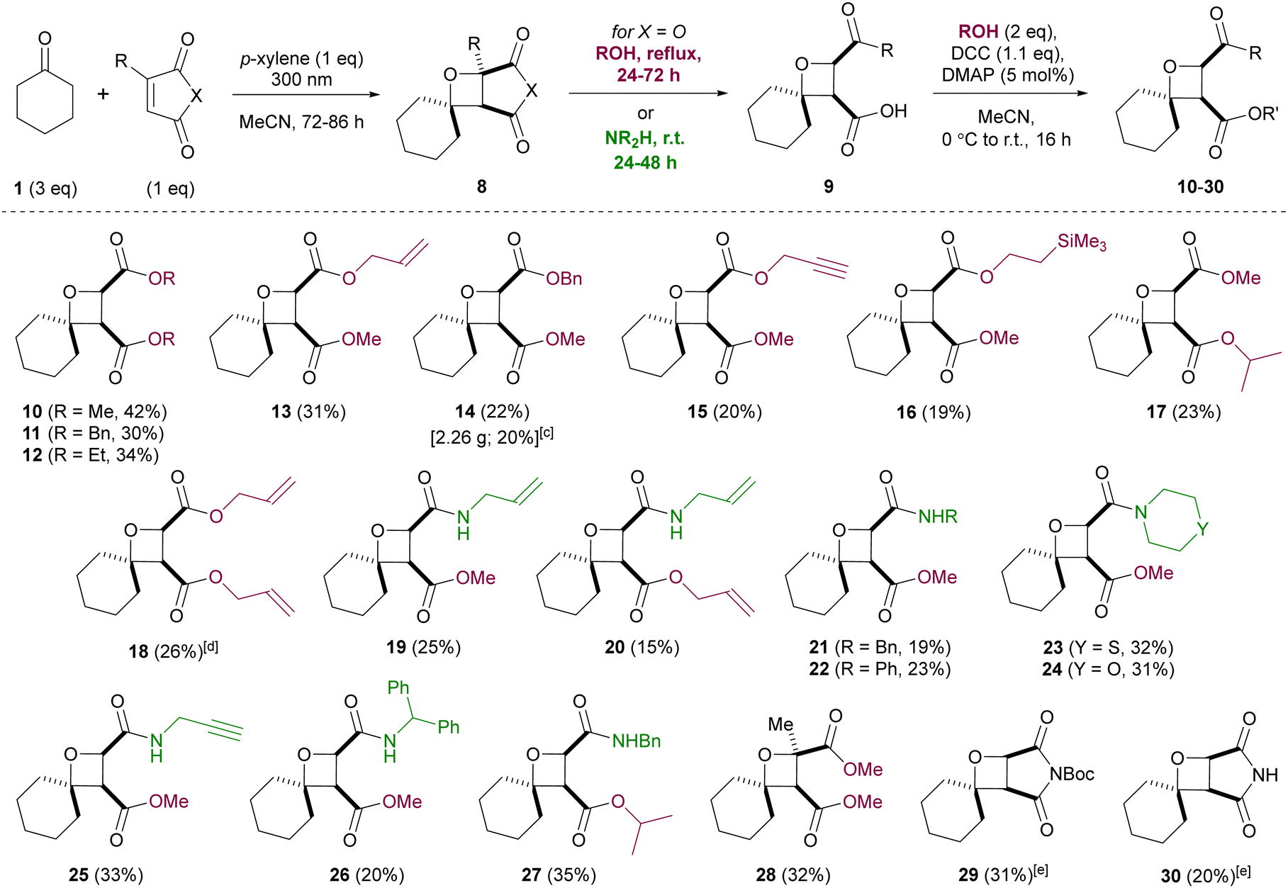Synthesis of functionalized spirocyclic oxetanes through Paternò–Büchi ...