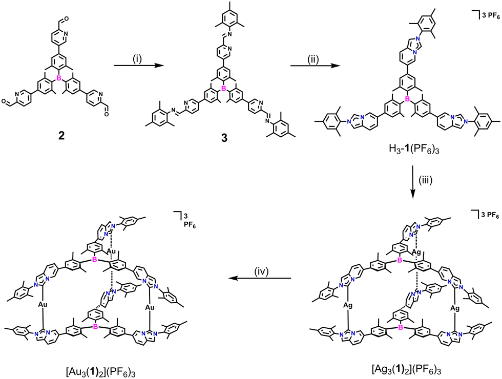 Synthesis of triarylborane-centered N-heterocyclic carbene cages with ...