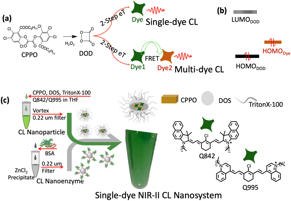 Single-dye NIR-II chemiluminescence system for H 2 O 2 imaging ...