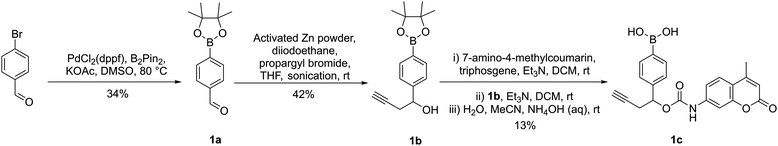 Peroxide-cleavable linkers for antibody–drug conjugates - Chemical ...