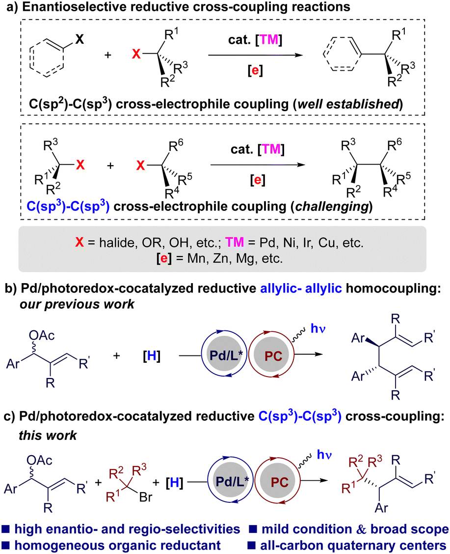 Enantioselective reductive allylic alkylation enabled by dual photoredox/palladium catalysis ...