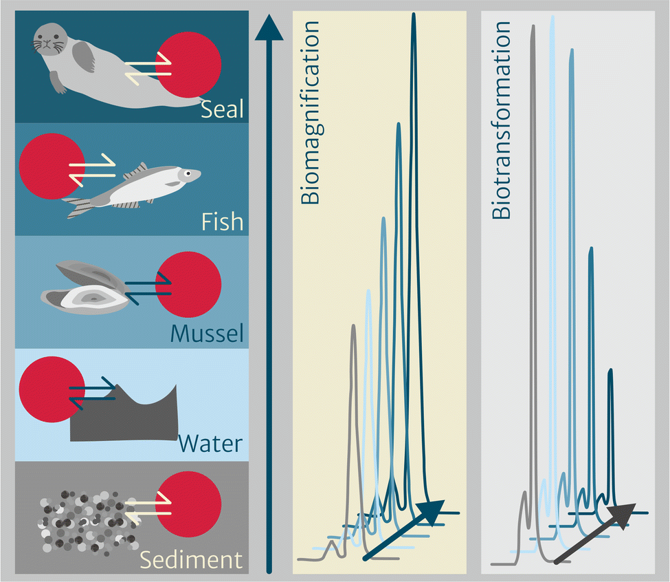 Chemometers: an integrative tool for chemical assessment in multimedia ...