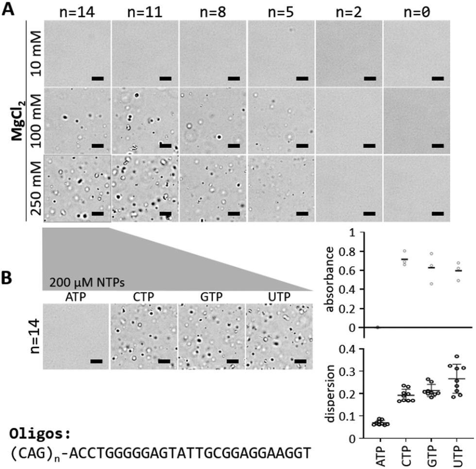 Chemical control of phase separation in DNA solutions - Chemical ...
