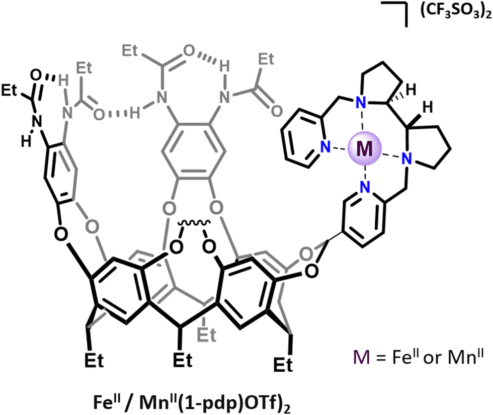 Bioinspired complexes confined in well-defined capsules: getting closer ...