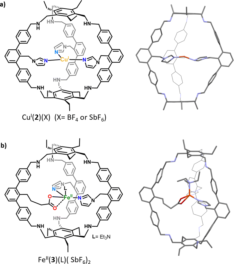 Bioinspired complexes confined in well-defined capsules: getting closer ...