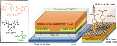 Non-enzymatic detection of glucose levels in human blood plasma by a ...