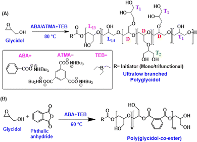 Quasilinear polyglycidols by triethyborane-controlled anionic ...