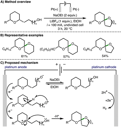 Electrochemical generation and utilization of alkoxy radicals ...