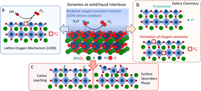Deeper mechanistic insights into epitaxial nickelate electrocatalysts ...