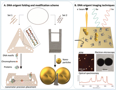 Lab-on-a-DNA origami: nanoengineered single-molecule platforms ...