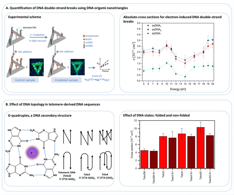 Lab-on-a-DNA origami: nanoengineered single-molecule platforms ...