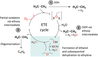 Cu-loaded zeolites enable the selective activation of ethane to ...