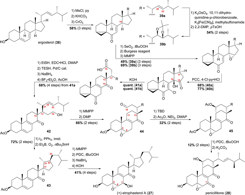 Biogenetic space-guided synthesis of rearranged terpenoids - Chemical ...
