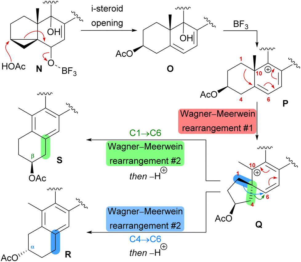 Biogenetic space-guided synthesis of rearranged terpenoids - Chemical ...