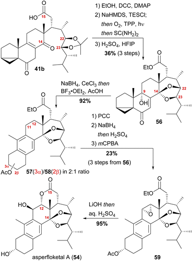 Biogenetic space-guided synthesis of rearranged terpenoids - Chemical ...