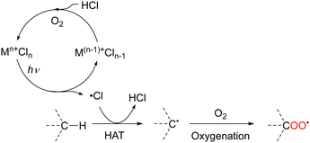 Chlorine-radical-mediated C–H oxygenation reaction under light ...