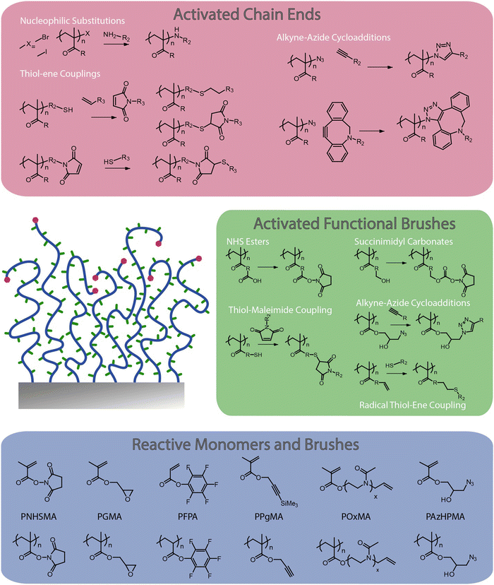 A guide to functionalisation and bioconjugation strategies to surface ...