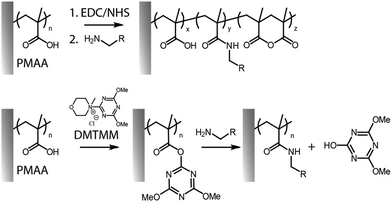 A guide to functionalisation and bioconjugation strategies to surface ...