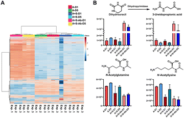 Sensitive quantification of short-chain fatty acids combined with ...
