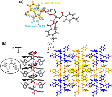 Overcoming a solid solution system on chiral resolution: combining ...