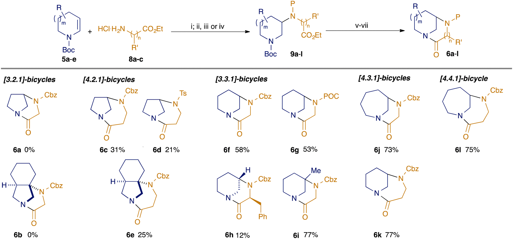 Modular synthesis of bicyclic twisted amides and anilines - Chemical ...