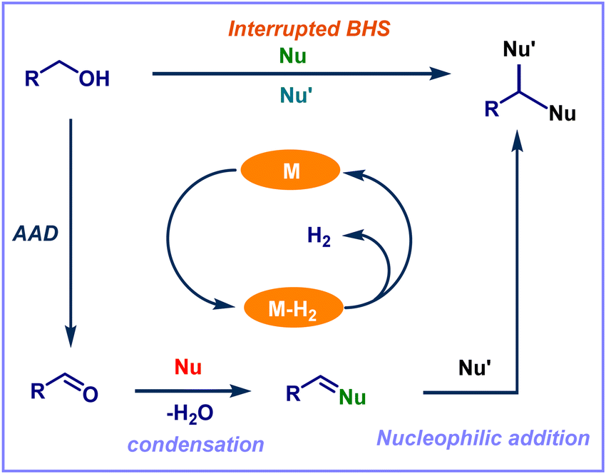 Transition metal-catalysis in interrupted borrowing hydrogen strategy ...