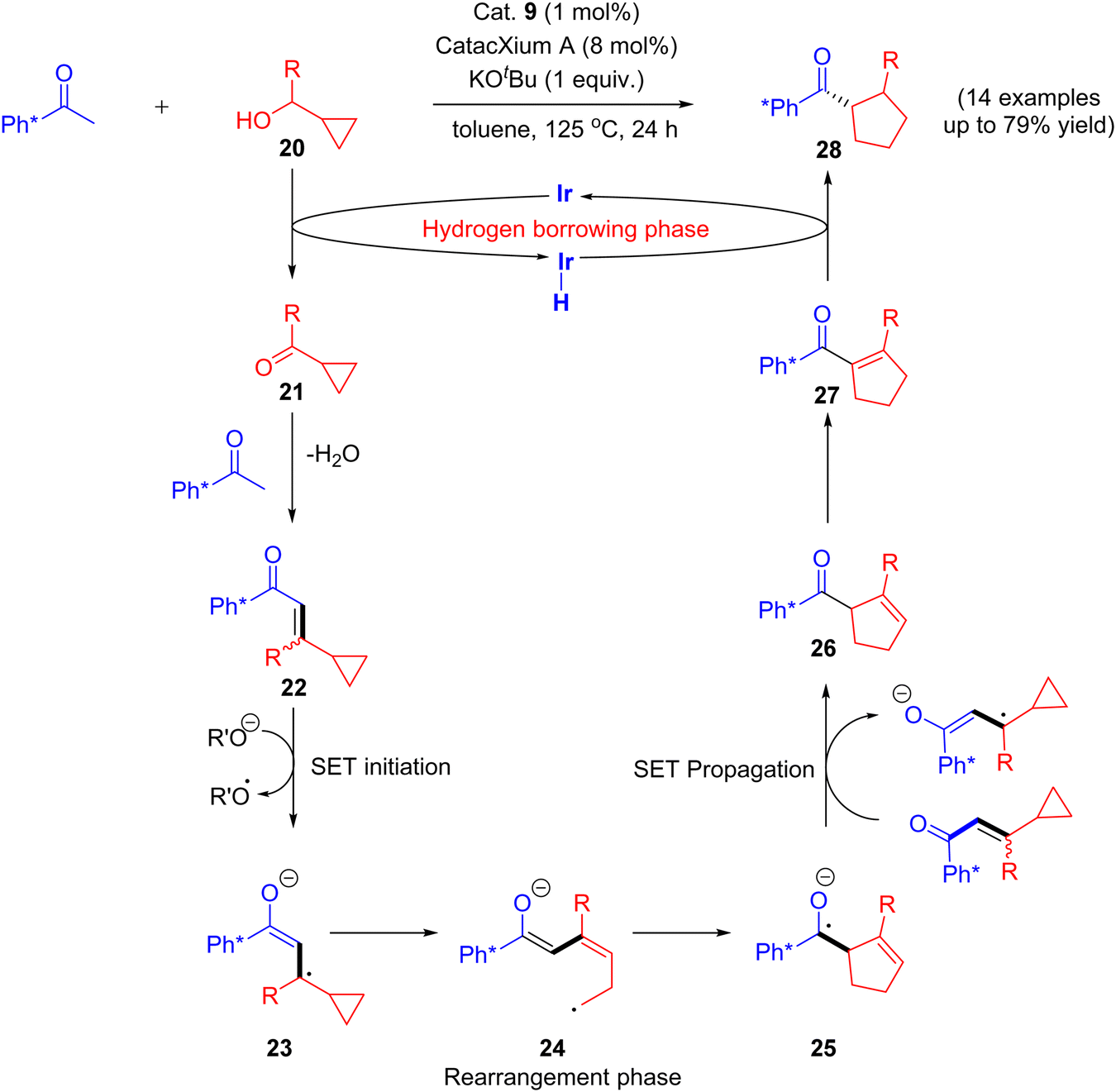 Transition metal-catalysis in interrupted borrowing hydrogen strategy ...