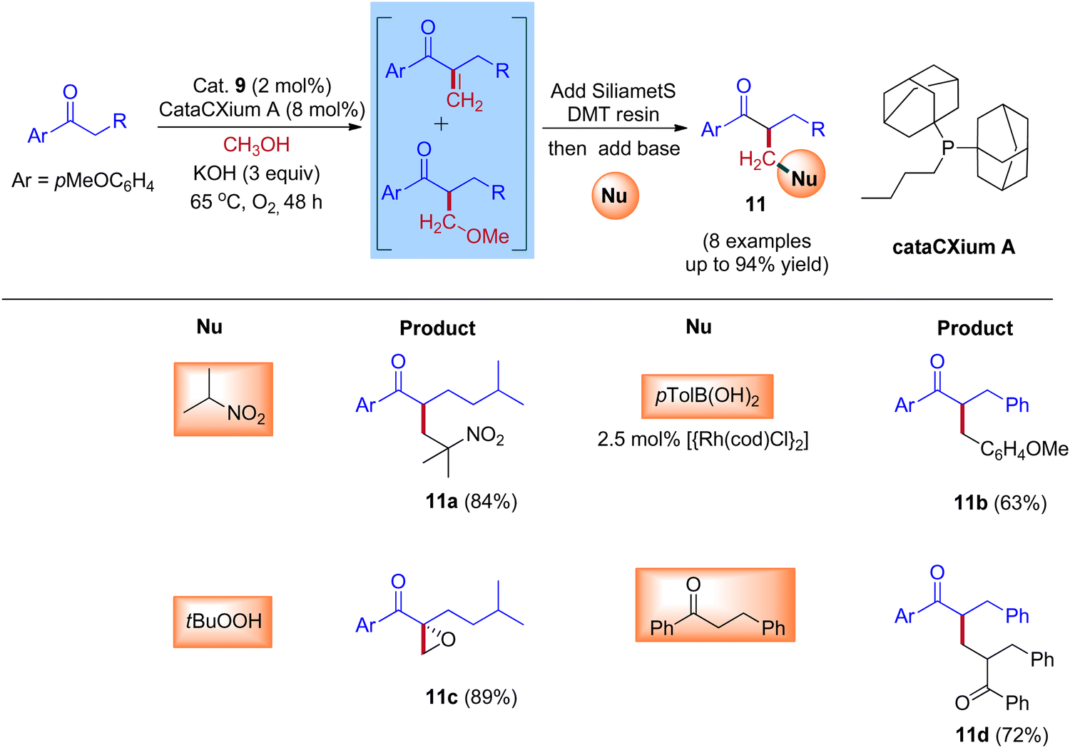 Transition metal-catalysis in interrupted borrowing hydrogen strategy ...